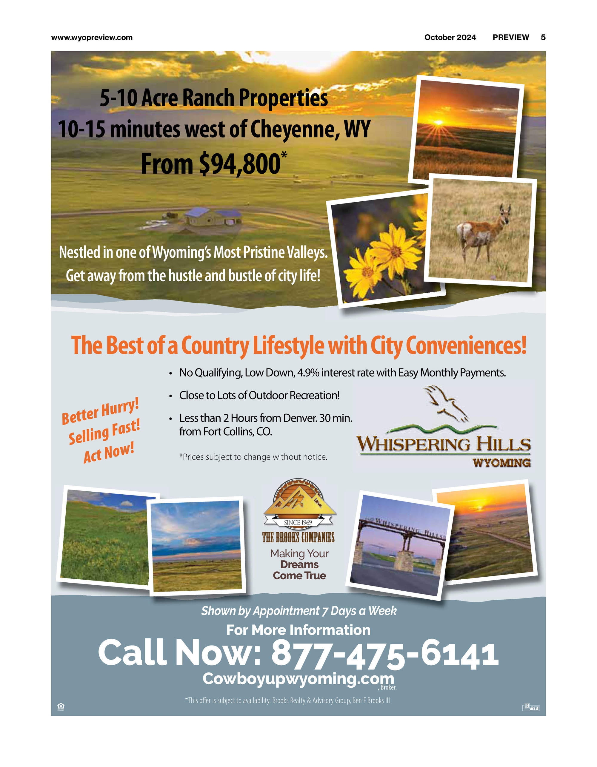 Preview Real Estate Guide